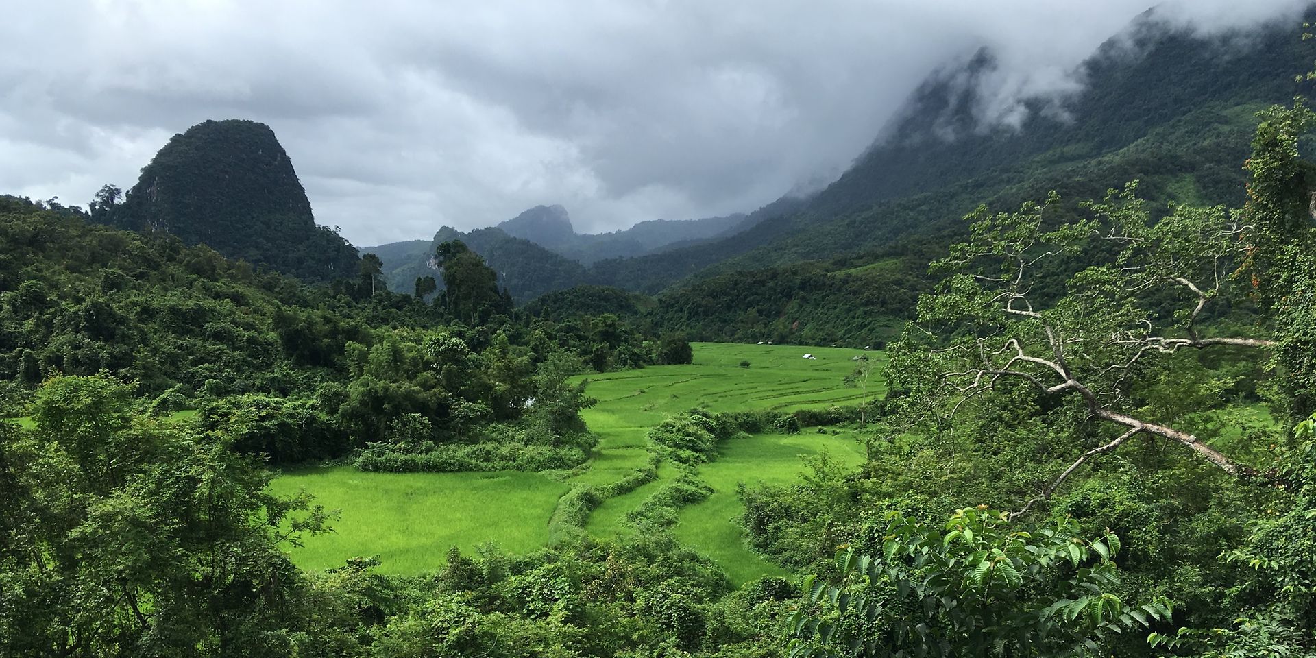 Protection of forests and biodiversity | BMZ