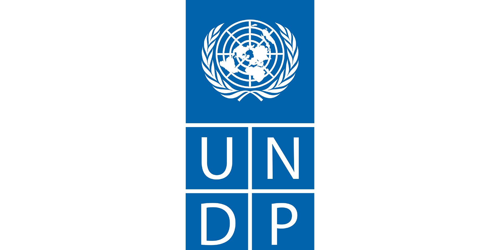 UNDP | BMZ