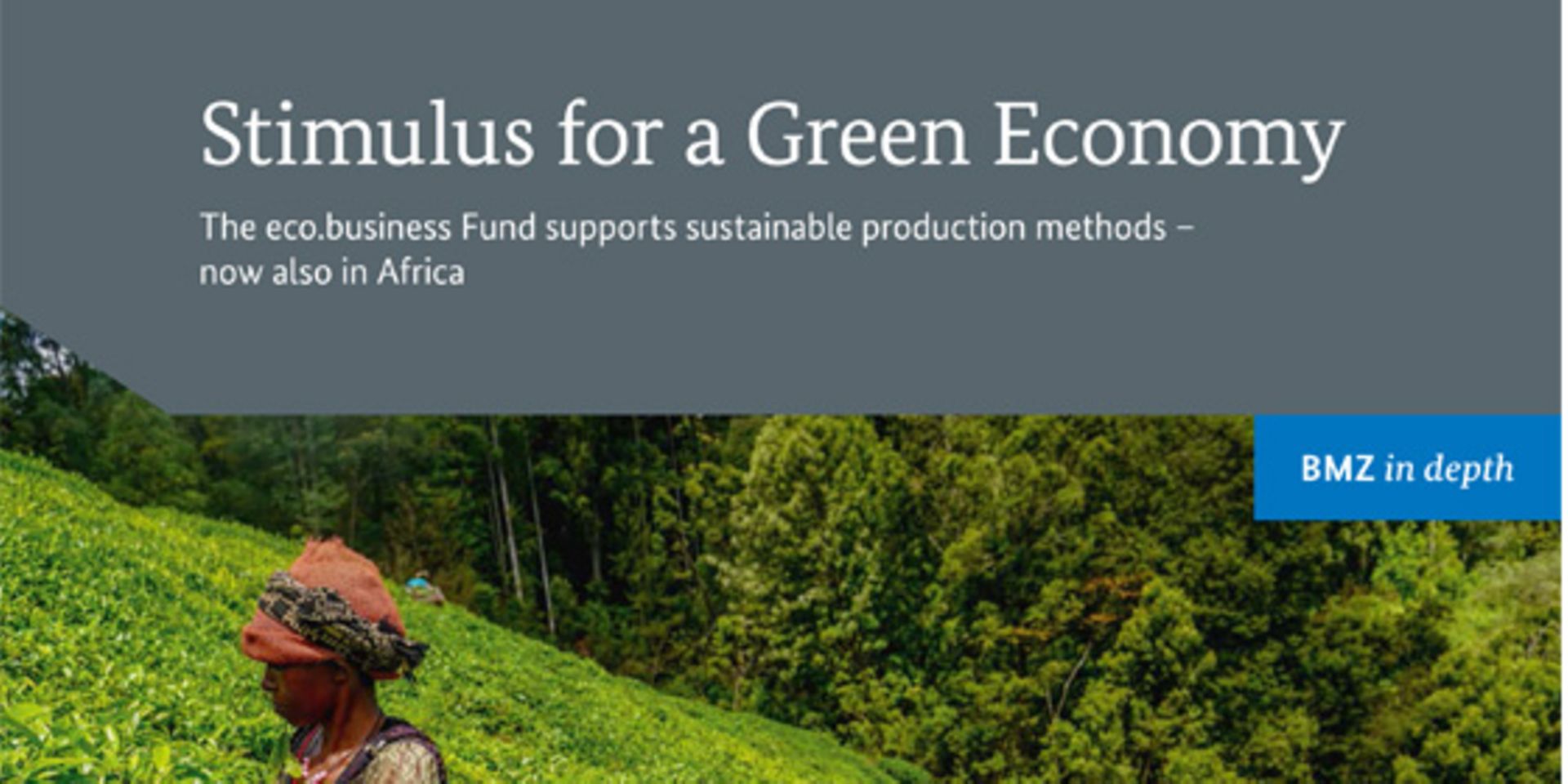 Stimulus for a Green Economy | BMZ