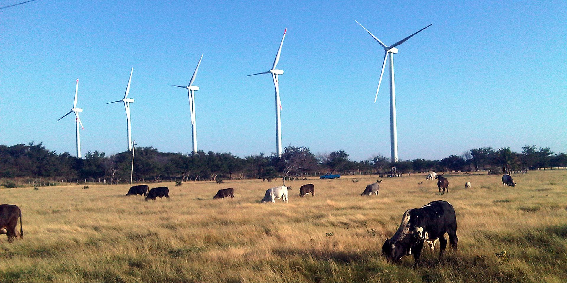 Fostering a sustainable economy and advancing the transformation of ...