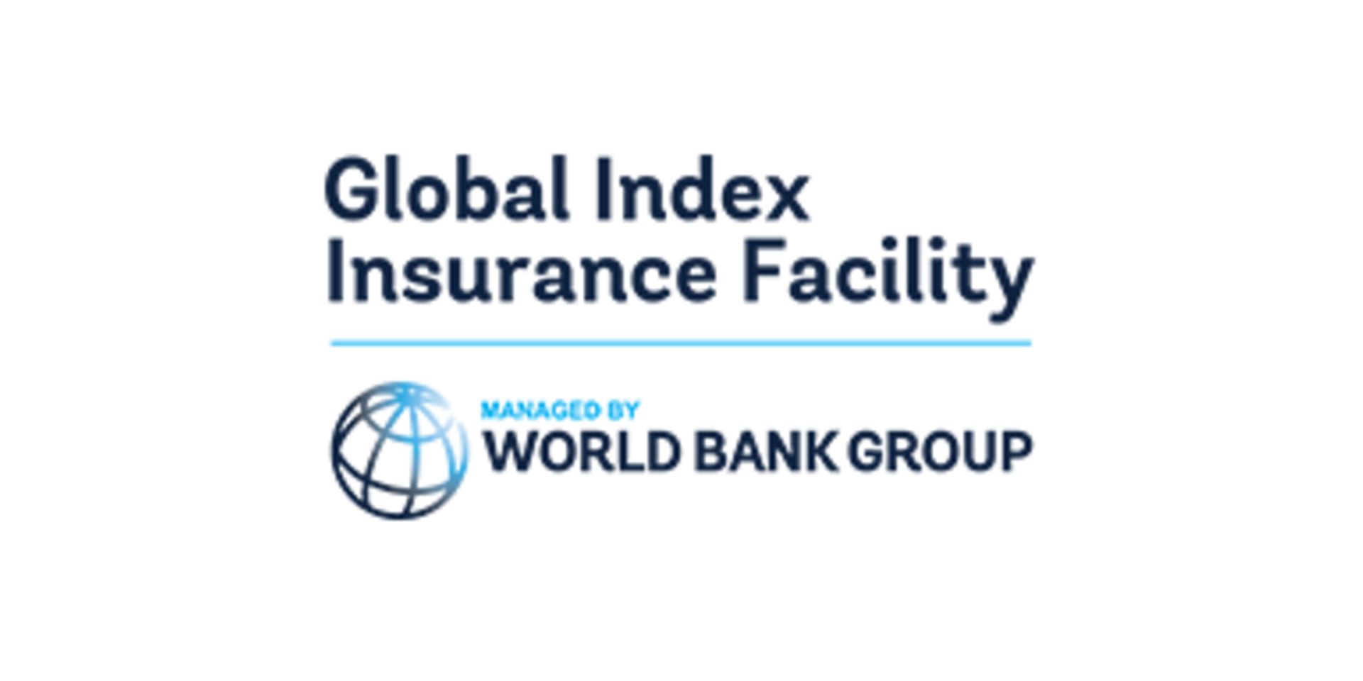 Global Index Insurance Facility (GIIF) | BMZ