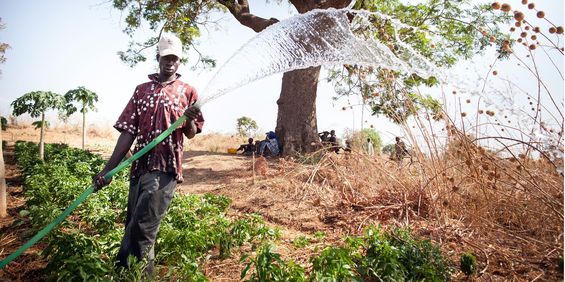 Tackling the crisis in Mali using decentralised irrigation systems | BMZ
