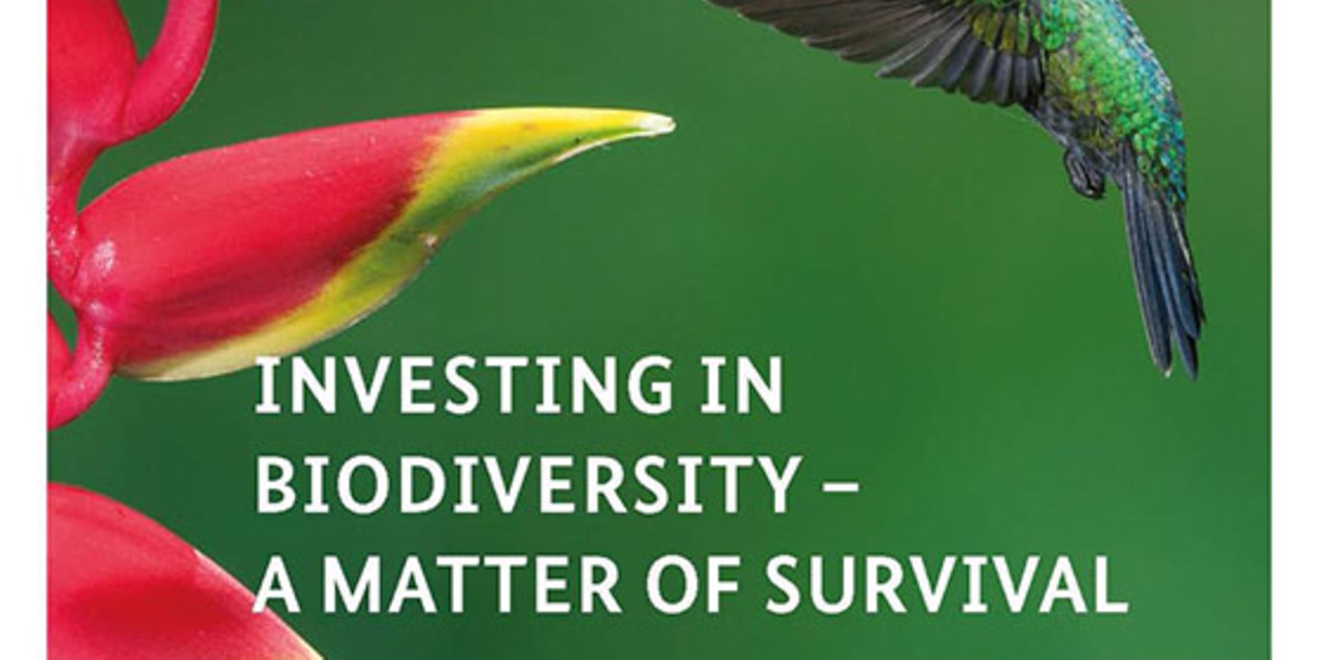 Investing in biodiversity - A matter of survival | BMZ