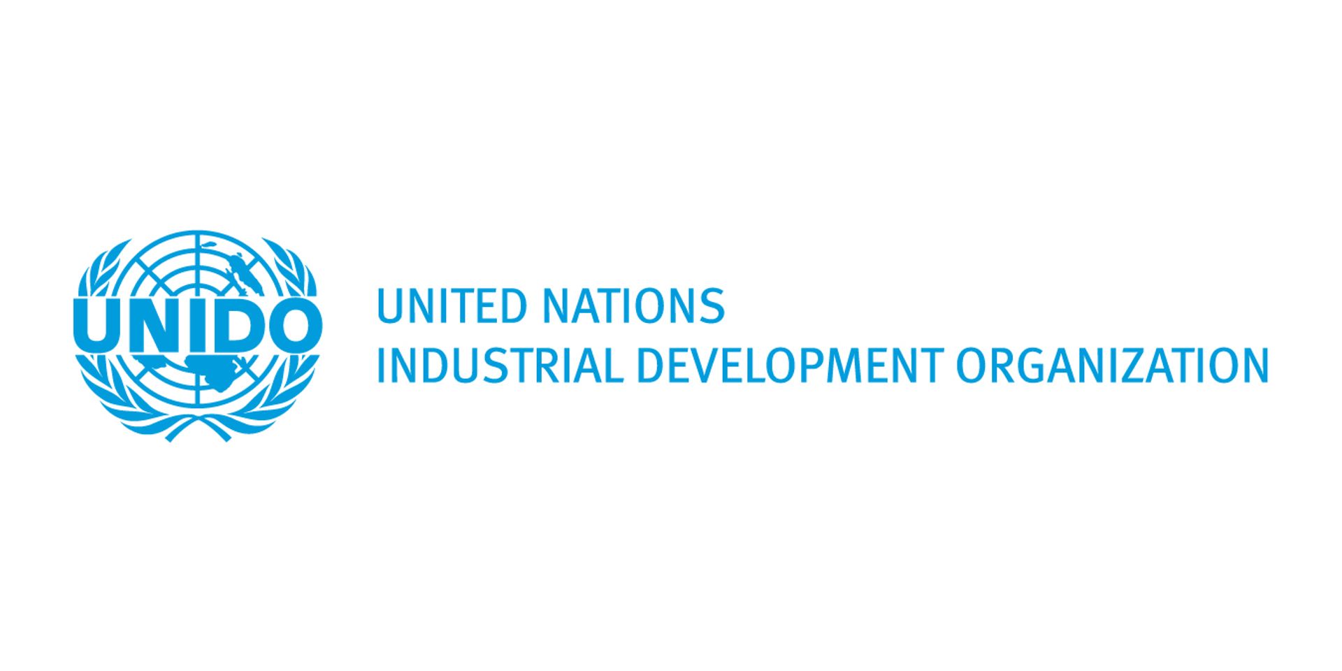 United Nations Industrial Development Organization (UNIDO) | BMZ