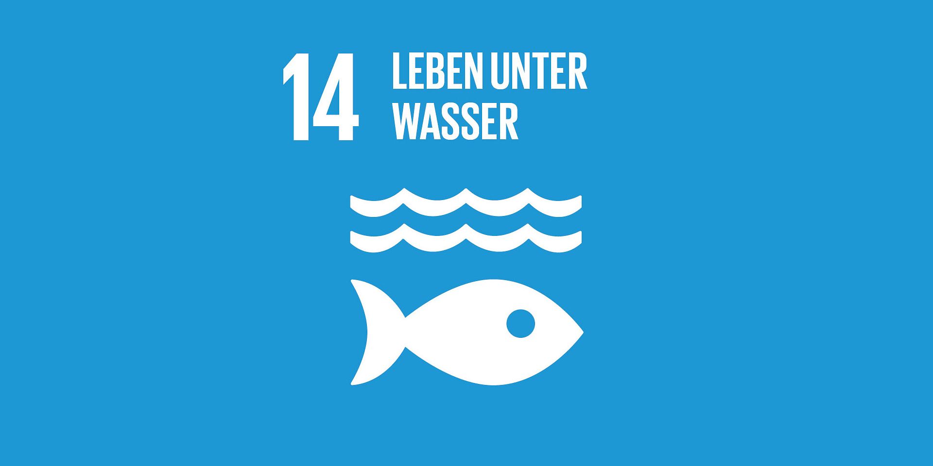 SDG 14: Leben unter Wasser | BMZ