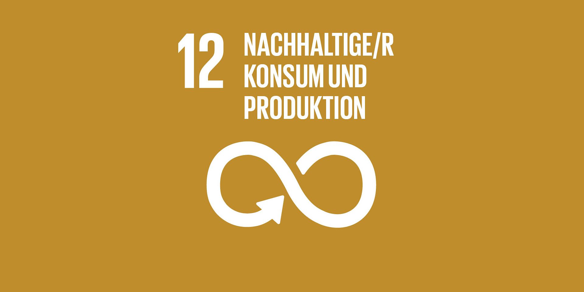 SDG 12: Nachhaltiger Konsum und nachhaltige Produktion | BMZ