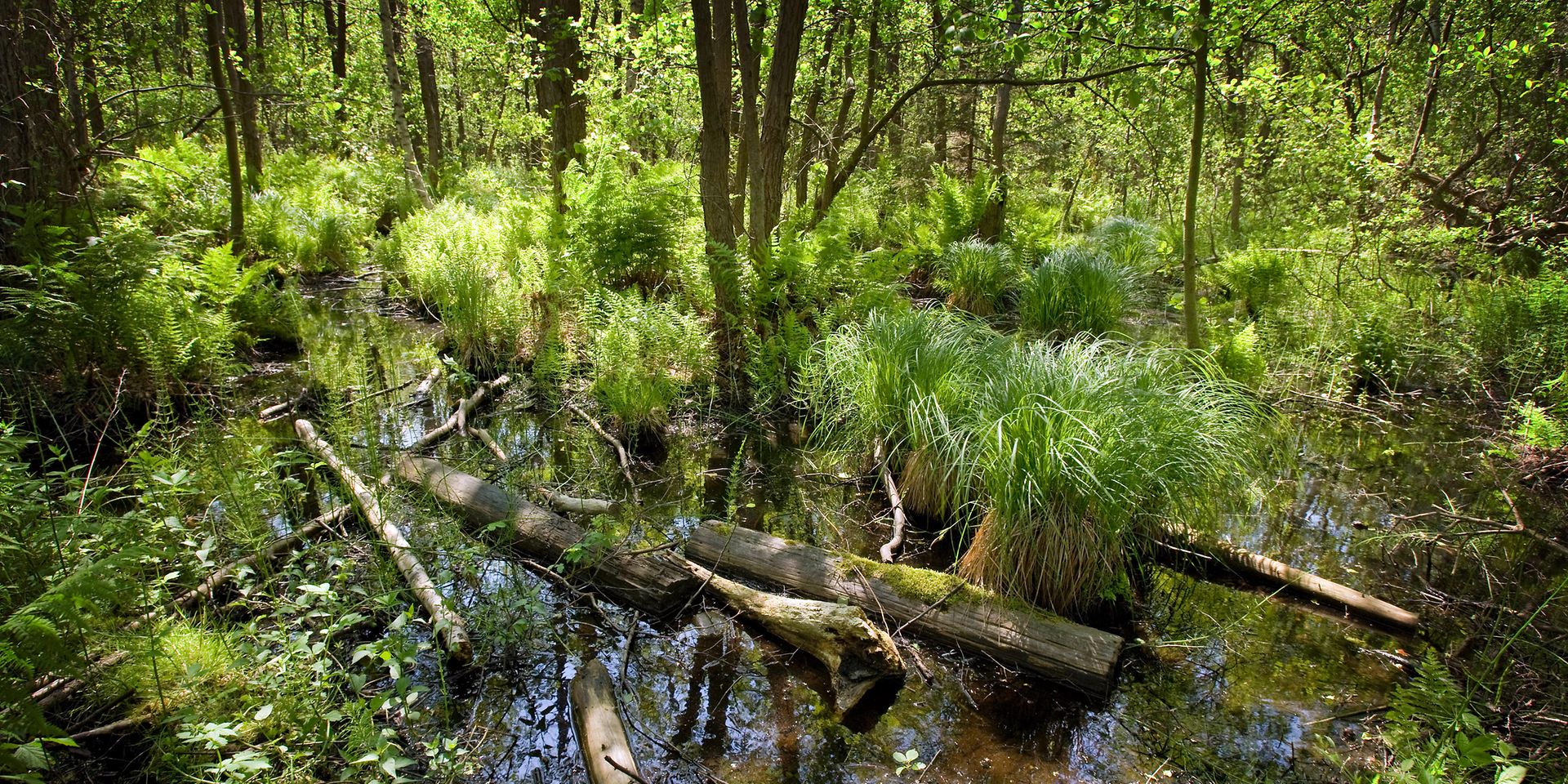 Climate and biodiversity | BMZ